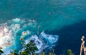 Manta Point Nusa Penida: Diving & Snorkeling with Manta Rays in Bali